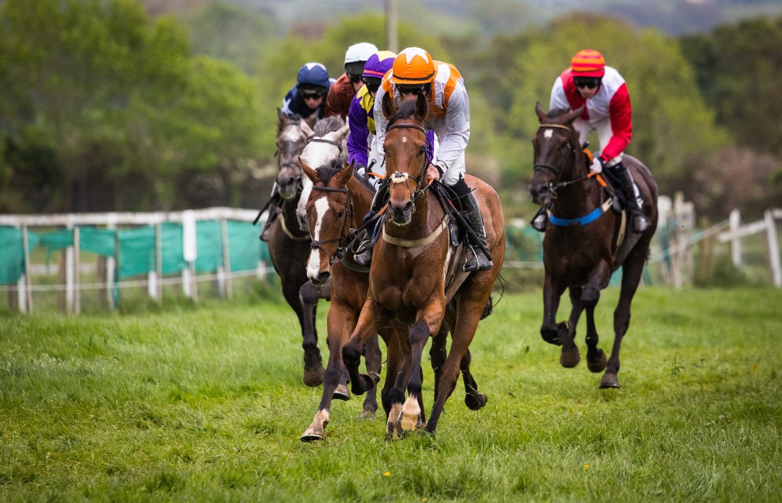 Discovering Essential Races and Events on the Horse Racing Calendar ...